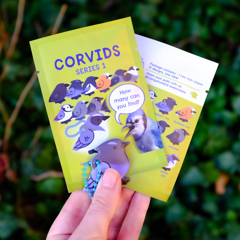 Corvid Charm Blind Bag – Camp Mustelid