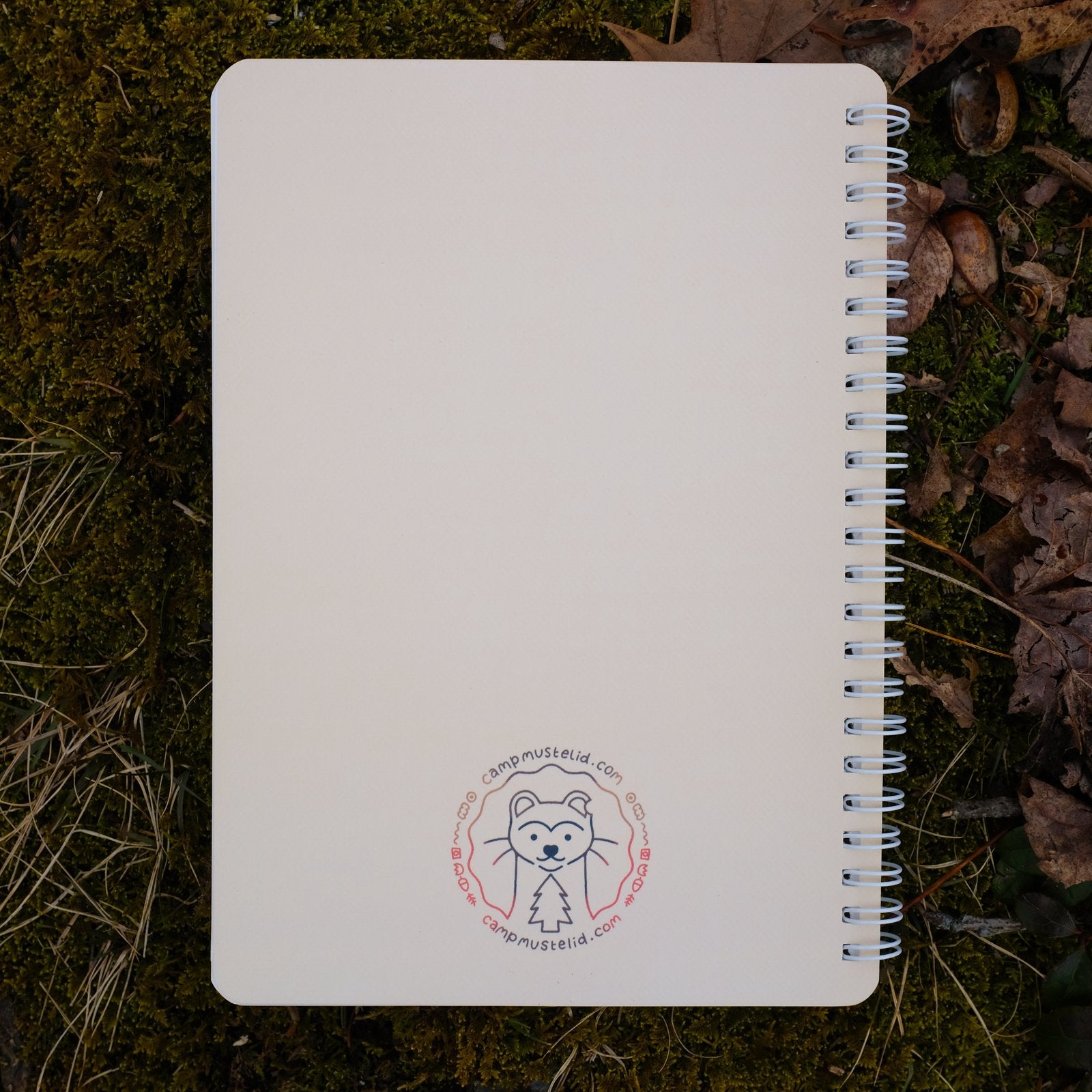 Freshwater Fish Sticker Collecting Book – Camp Mustelid